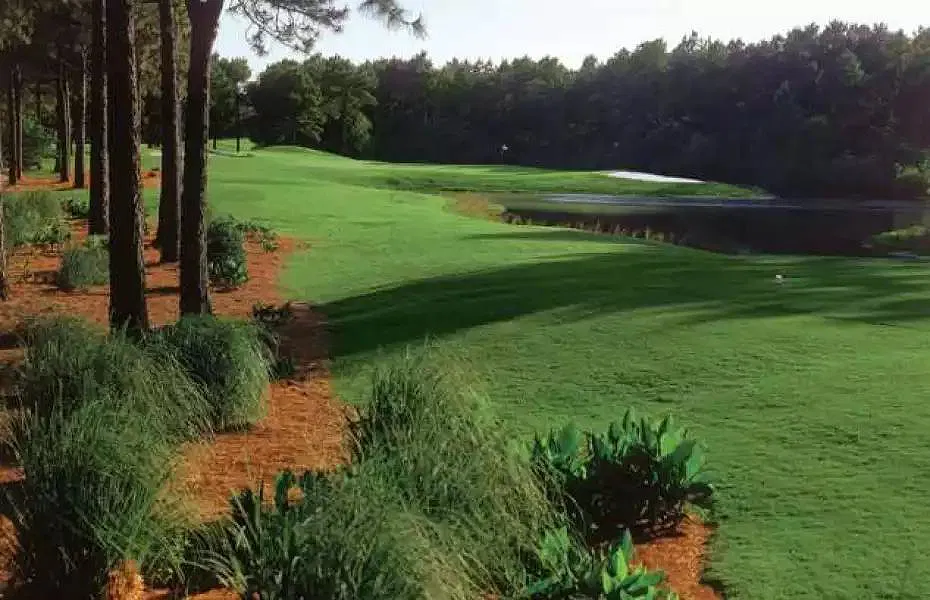 Barefoot Resort Norman Course – Lets Go Golf Trips